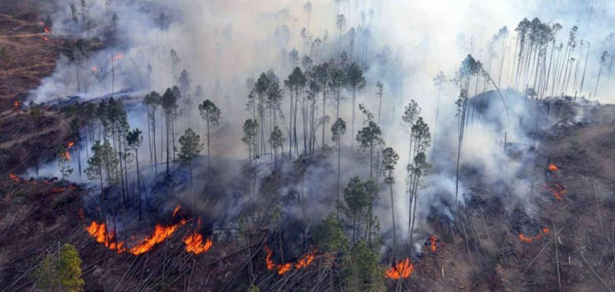 4200 focos de incendios en todo el país