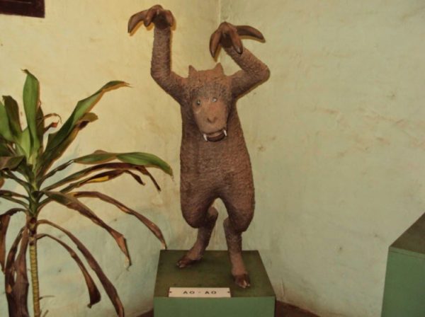 7 Mitos del paraguay ️ Leyendas Origen【Moñai, Luisón】