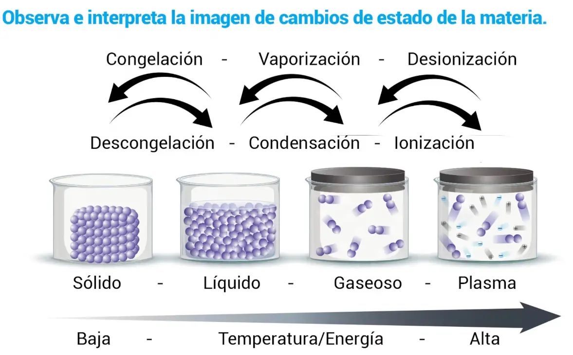 Estados de la materia ️ Qué son ️ ¿Cuantos son?