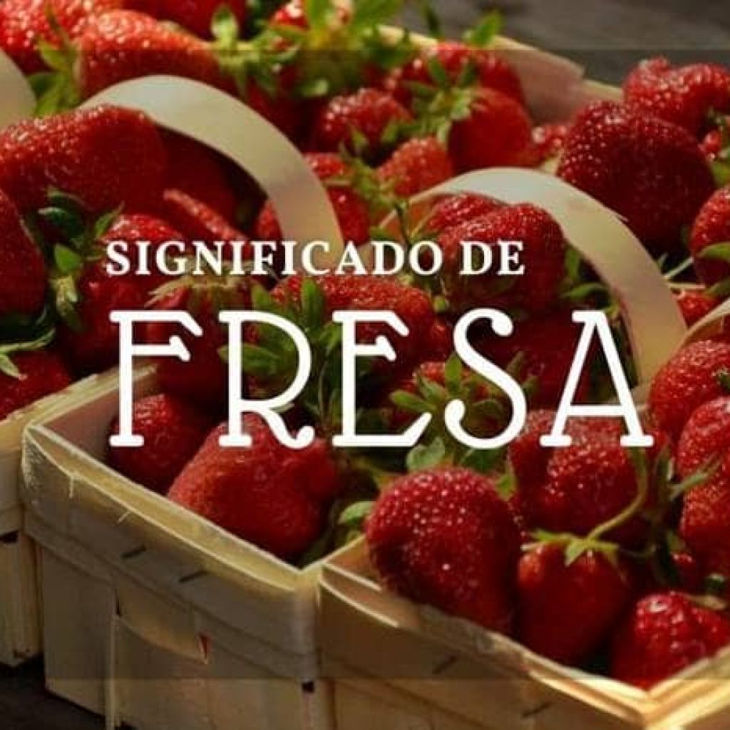 Significado de fresa ️ Propiedades ️ Cultivos ️ Calorias