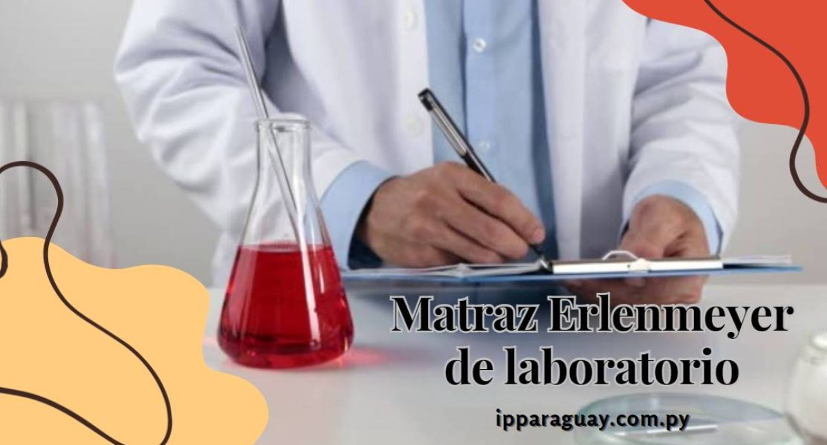 Matraz Erlenmeyer de laboratorio 🧪 ️ ¿Qué es y para qué sirve?