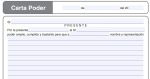 Ejemplo de Llenado de una Carta Poder ️ 【 Hacer Una Efectiva