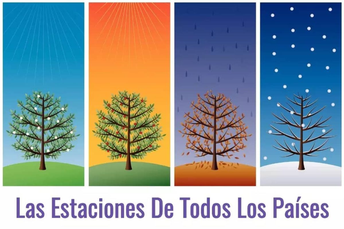 Estaciones del Año 🥇 Características, Cambios y Actividades