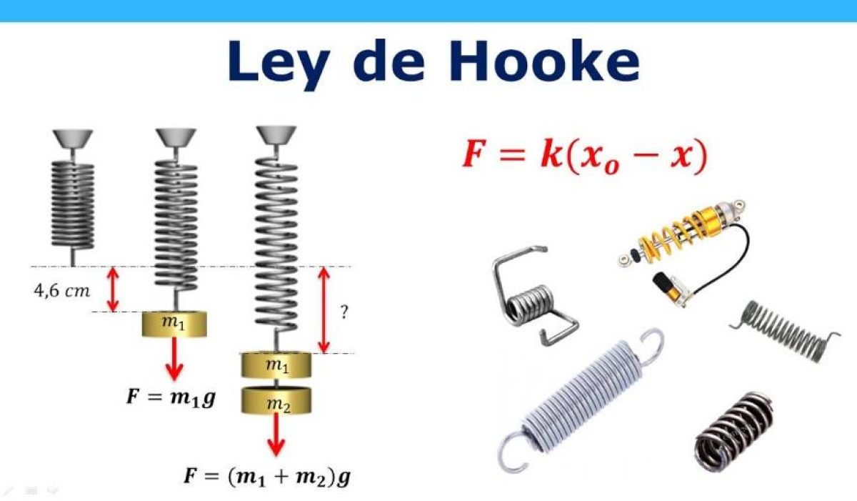 ¡Descubre el Mundo de la Física con la Ley de Hooke! ️