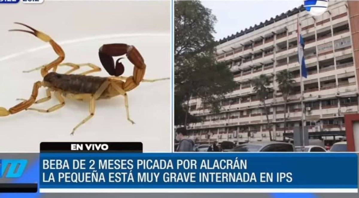 VIDEO: Bebé en Estado Grave por Picadura de Alacrán