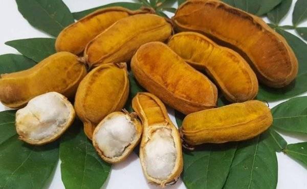 Fruta con i ️ Frutas que Comienzan con i 【 Lista Completa】