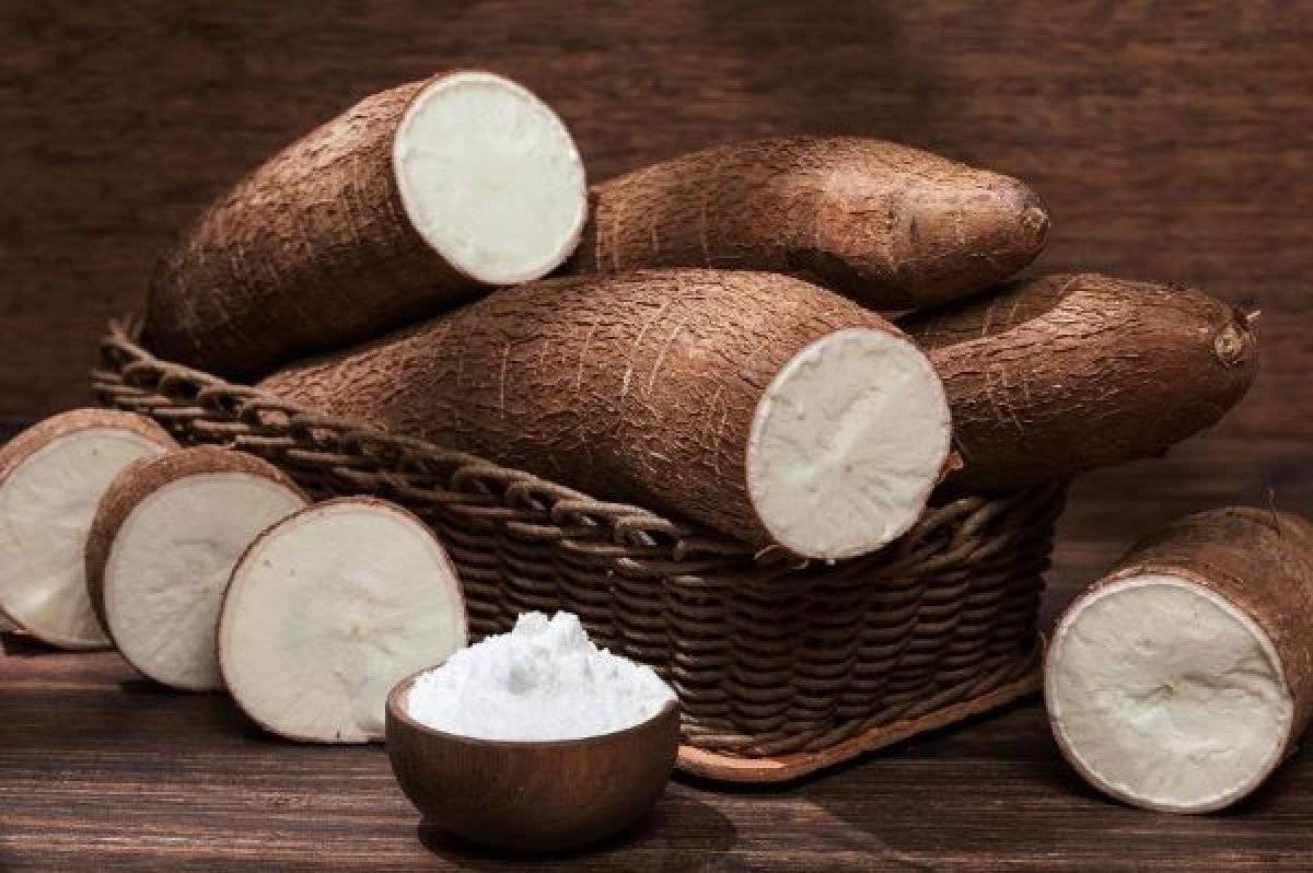 La Mandioca: Pilar de la Cocina Paraguaya 🌿