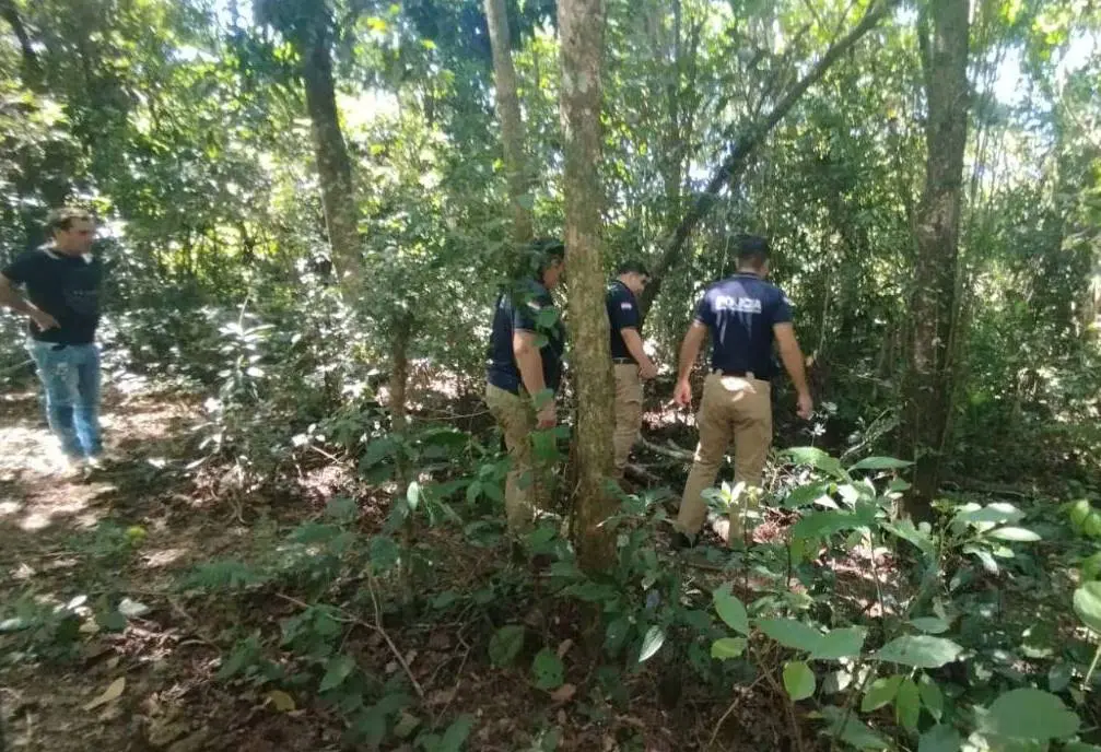 Un hombre pierde la vida tras caerle un árbol encima